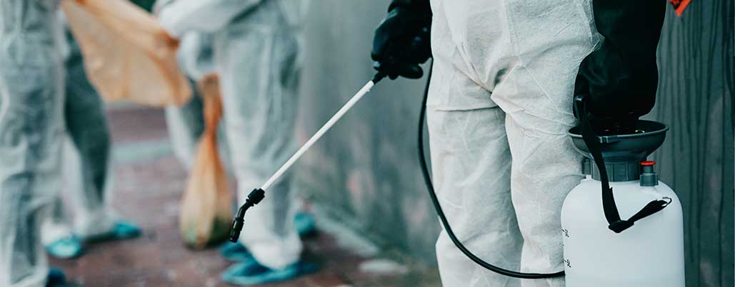 Winning the Battle Against Pests: Home Pest Control by Triple Trillium